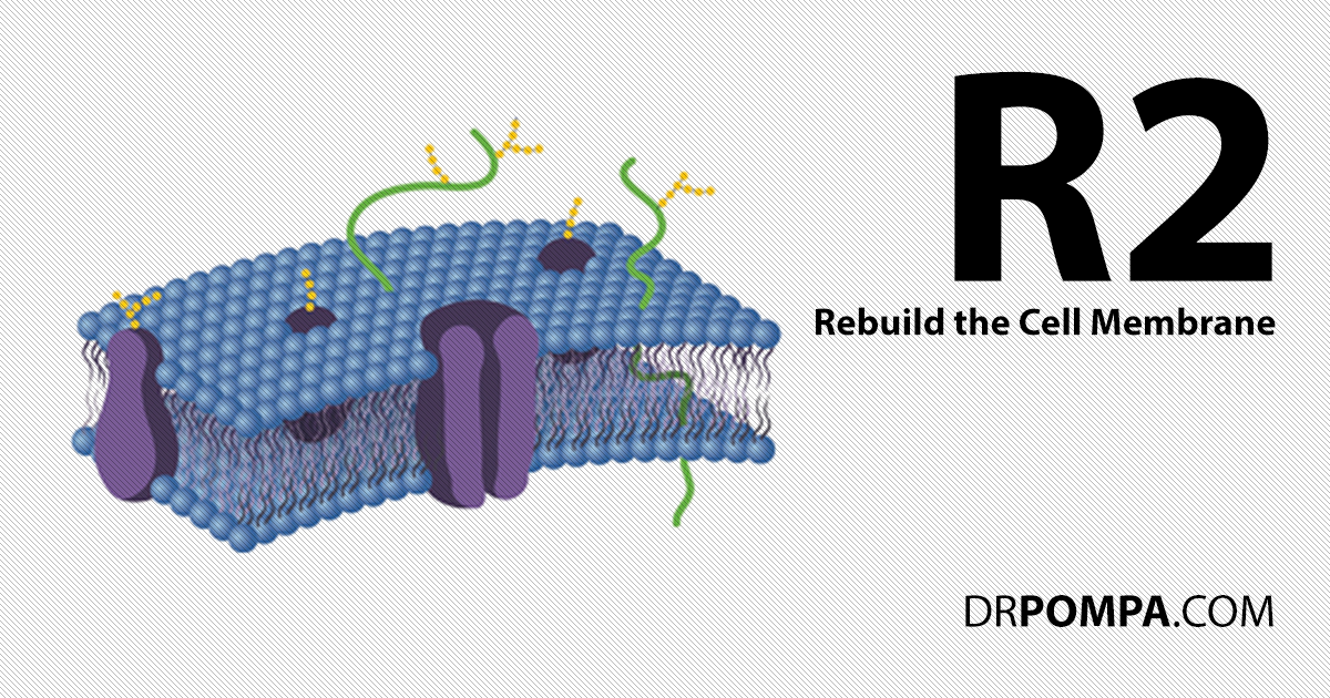 R2 Regenerating the Cell Membrane Omega 6 and Omega 3 Fatty Acid Ratio | Pompa Program Masterclass